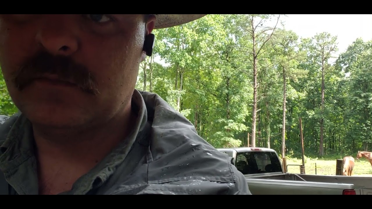 Everyday Ranch work . - YouTube