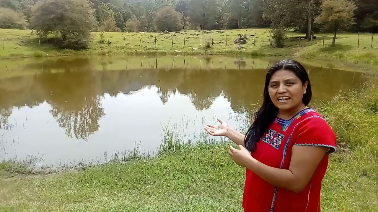 PATRIMONIO CULTURAL DE LA INDEPENDENCIA, MUNICIPIO DE HUIXTÁN, CHIAPAS ...