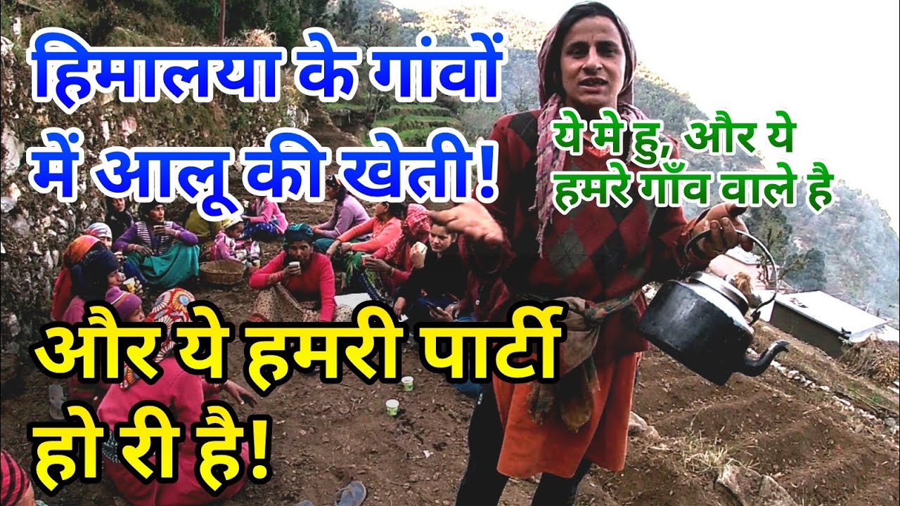 Indian Village Potato Farming | Aalo ki Kheti - YouTube