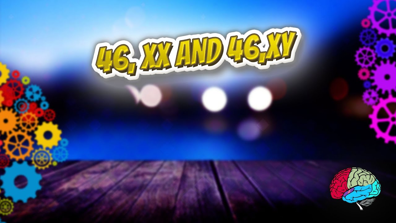 46, XX and 46,XY 🔊 🔊 - YouTube