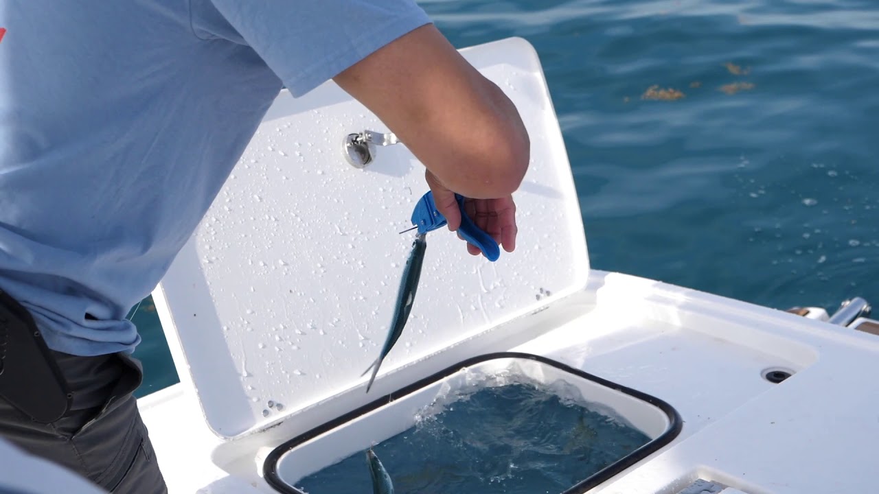 Sabiki Rig Bait Dehooker - YouTube