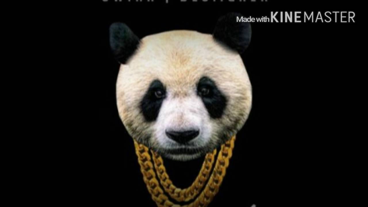 Panda desiigner lyrics (hook only) - YouTube