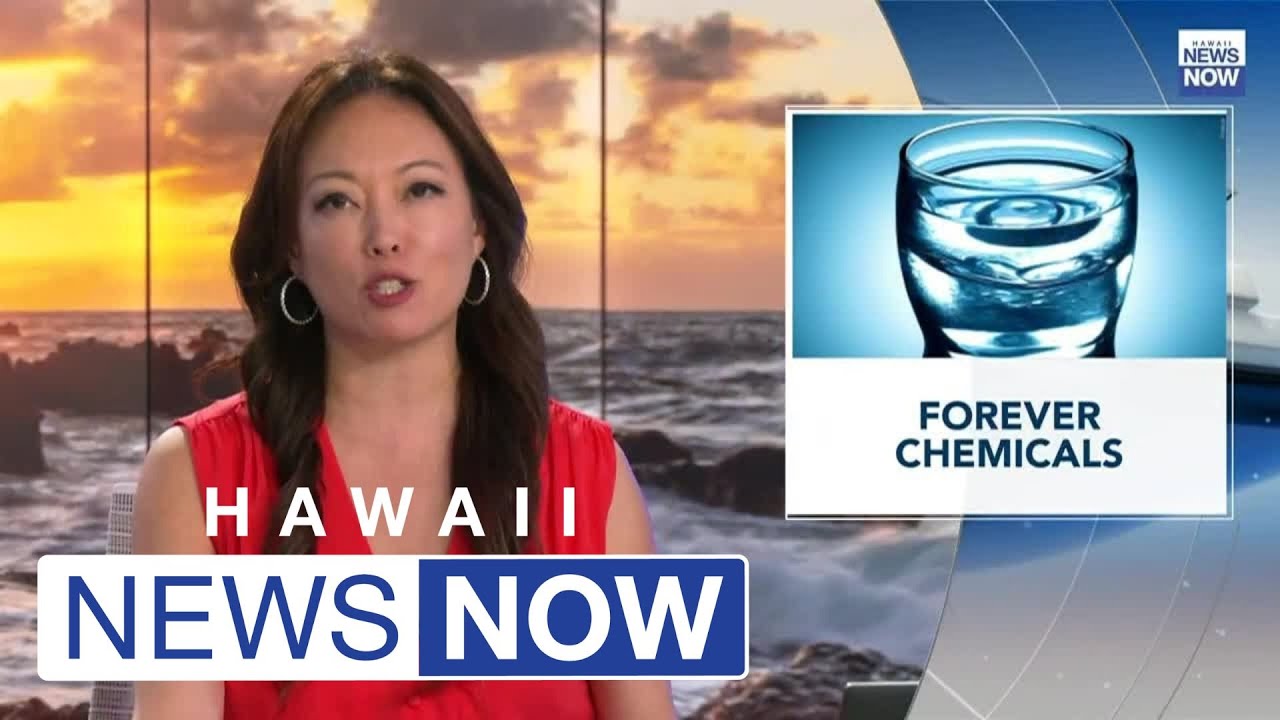 HNN News Brief (March 14, 2023) - YouTube