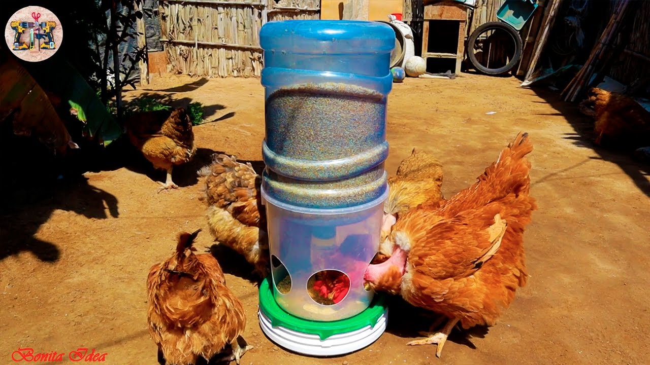 Comedero Automático para criar gallinas hecho con un bidón de agua de ...