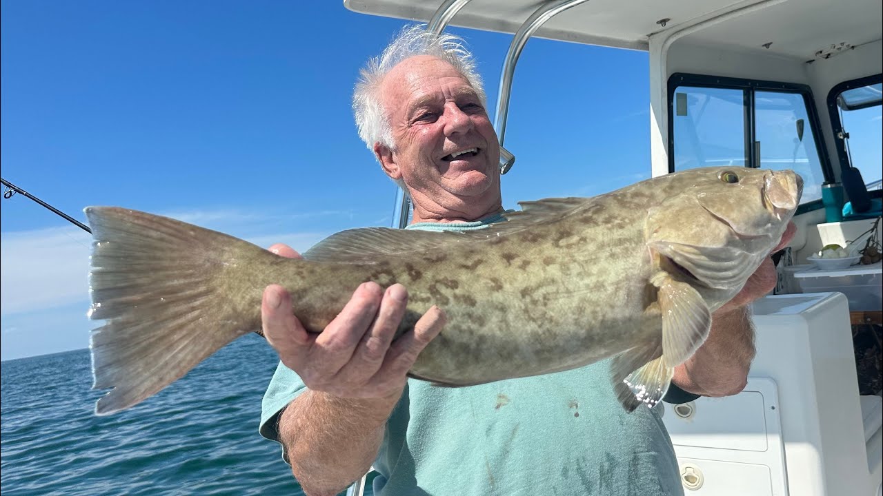 Fun day fishing in the Gulf of Mexico catching groupers, snooks and ...
