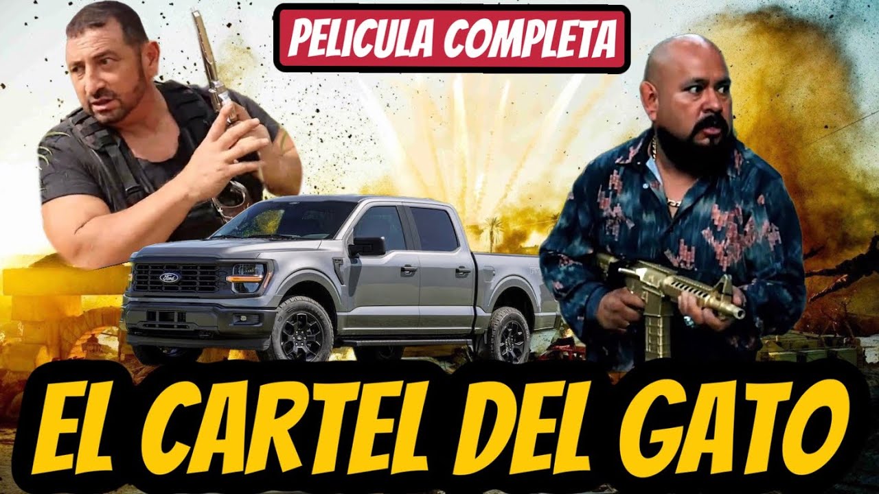El Cartel del Gato🎬 Película Completa en Español Estreno 2025 Lo Mejor ...
