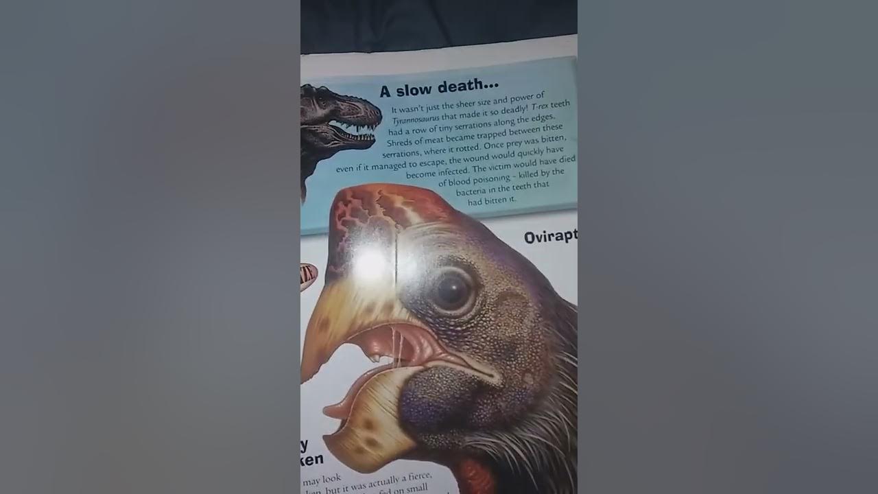 showing u my dinosaur book - YouTube