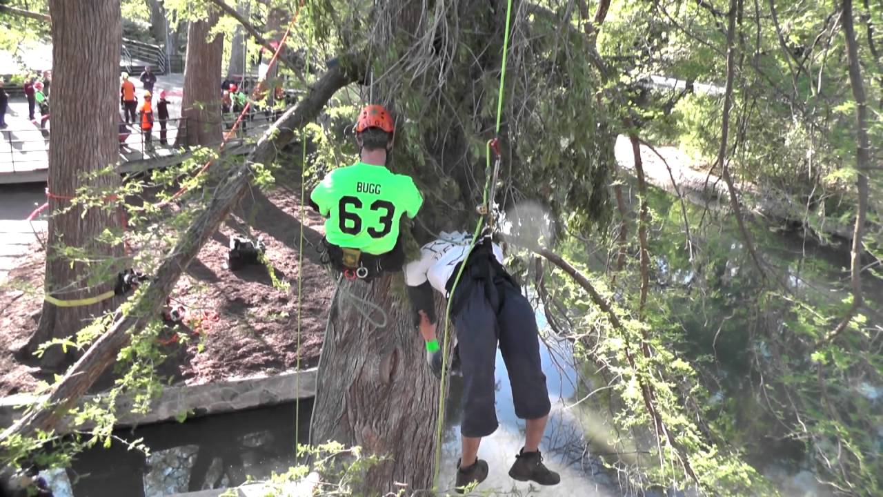 Unedited Aerial Rescue Tree Cam - YouTube