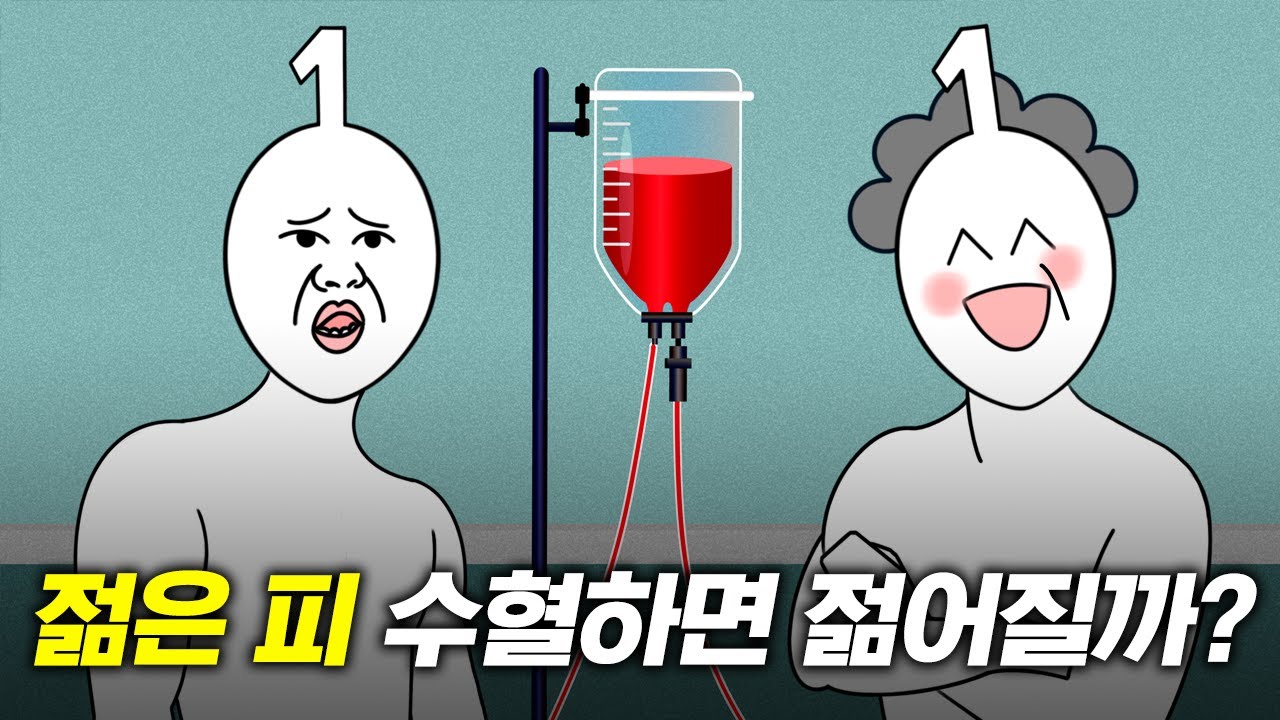 젊은 피를 수혈하면 젊어질 수 있을까 Youtube