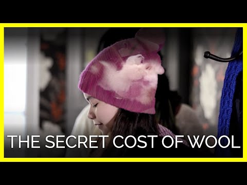 The Secret Cost of Wool