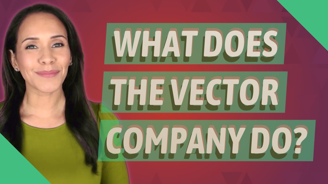 What does the Vector company do? - YouTube