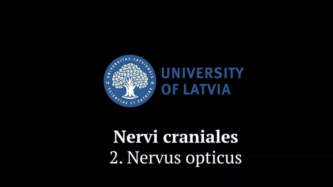 02. Redzes nervs (n. opticus) - YouTube