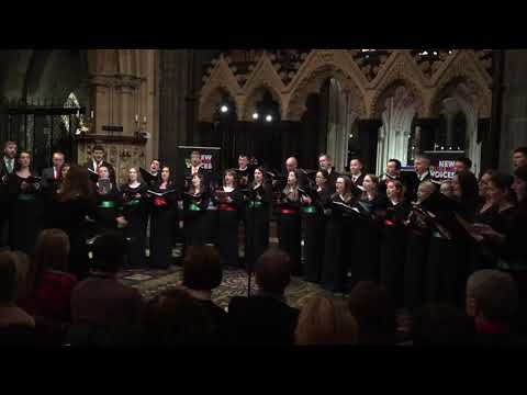 New Dublin Voices - \