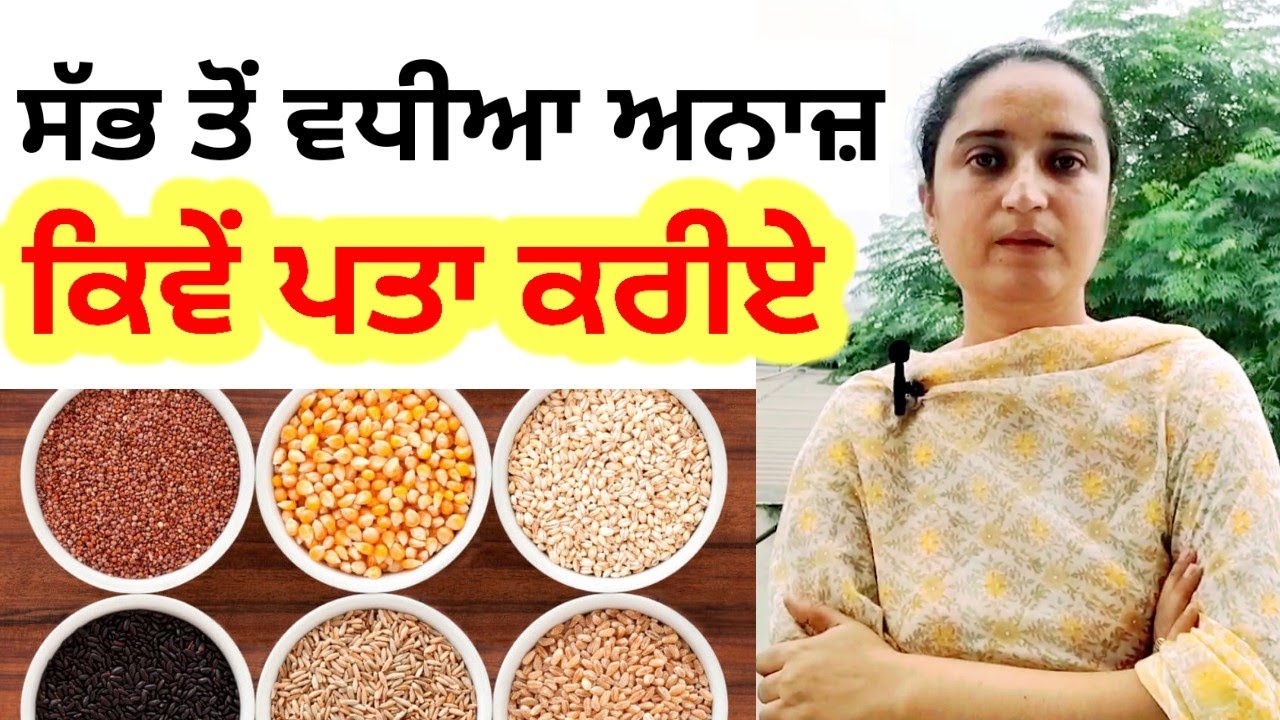 best anaj for cows and Buffalo - YouTube