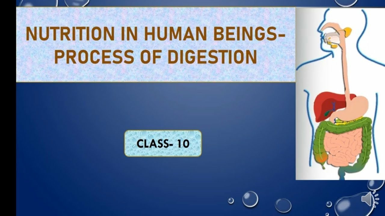 PROCESS OF DIGESTION - CLASS 10 - YouTube