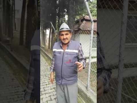 Bucak Sokak röportajları