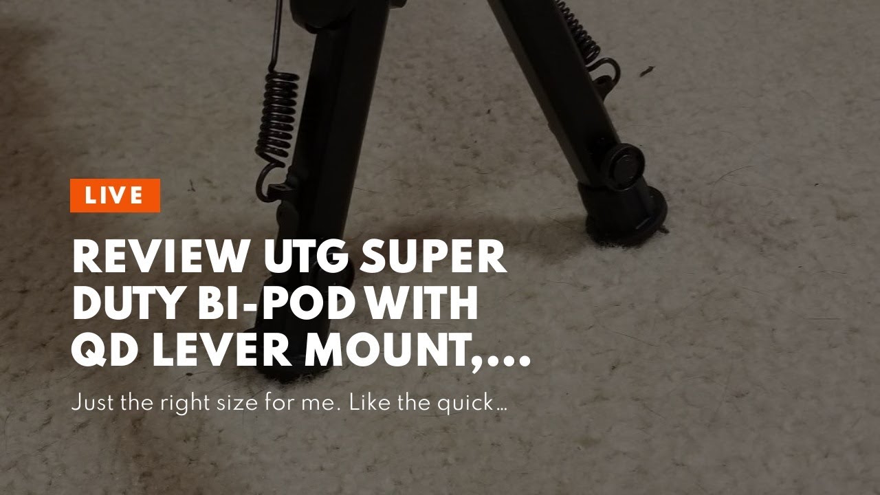 Review UTG Super Duty Bi-pod with QD Lever Mount, Height 6.0"- 8.5 ...