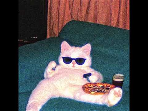 UKG mix w/ chill cat
