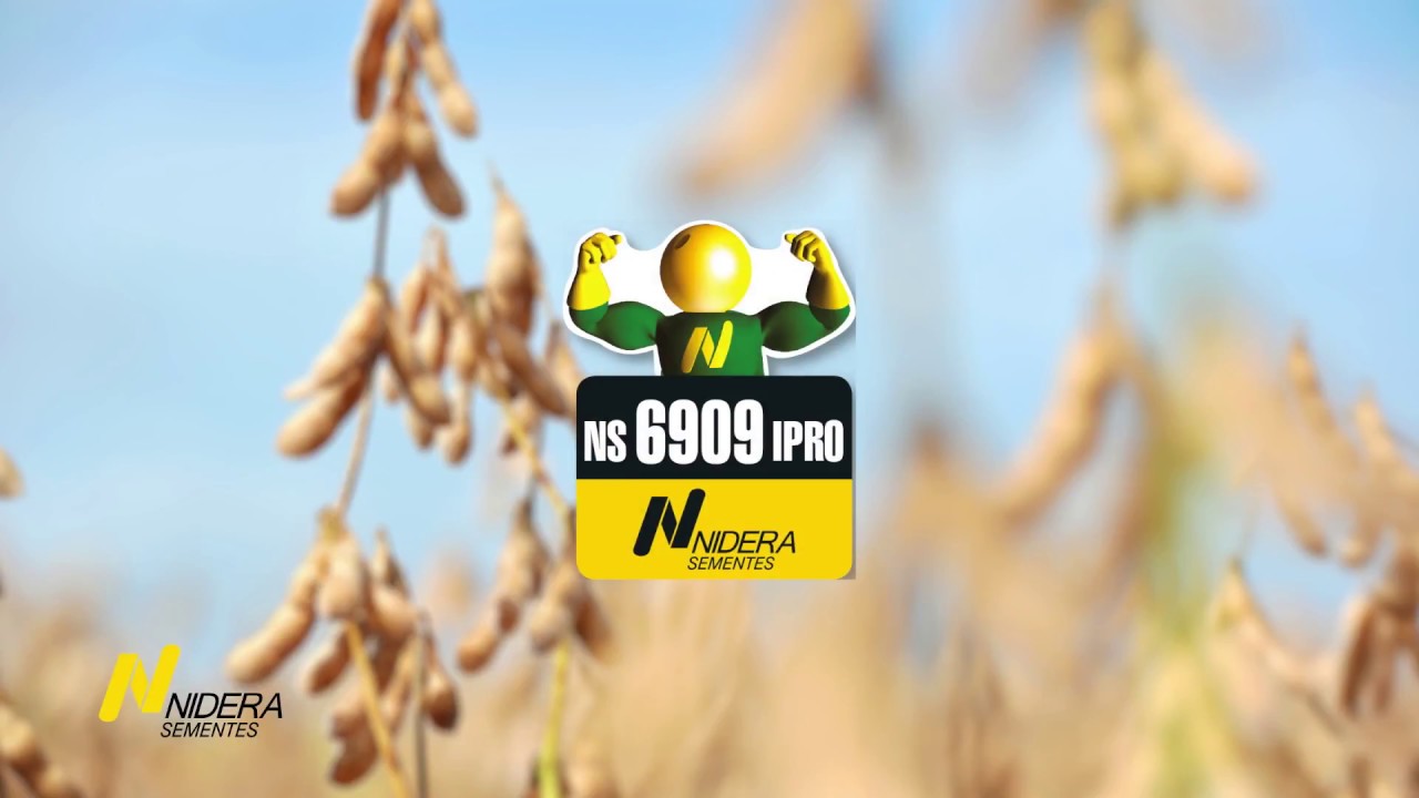 NIDERA SEMENTES - Campeão de produtividade - NS 6909 IPRO - YouTube