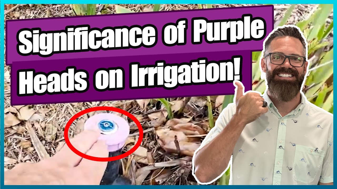 Significance of Purple Heads on Irrigation | St Johns County Florida ...