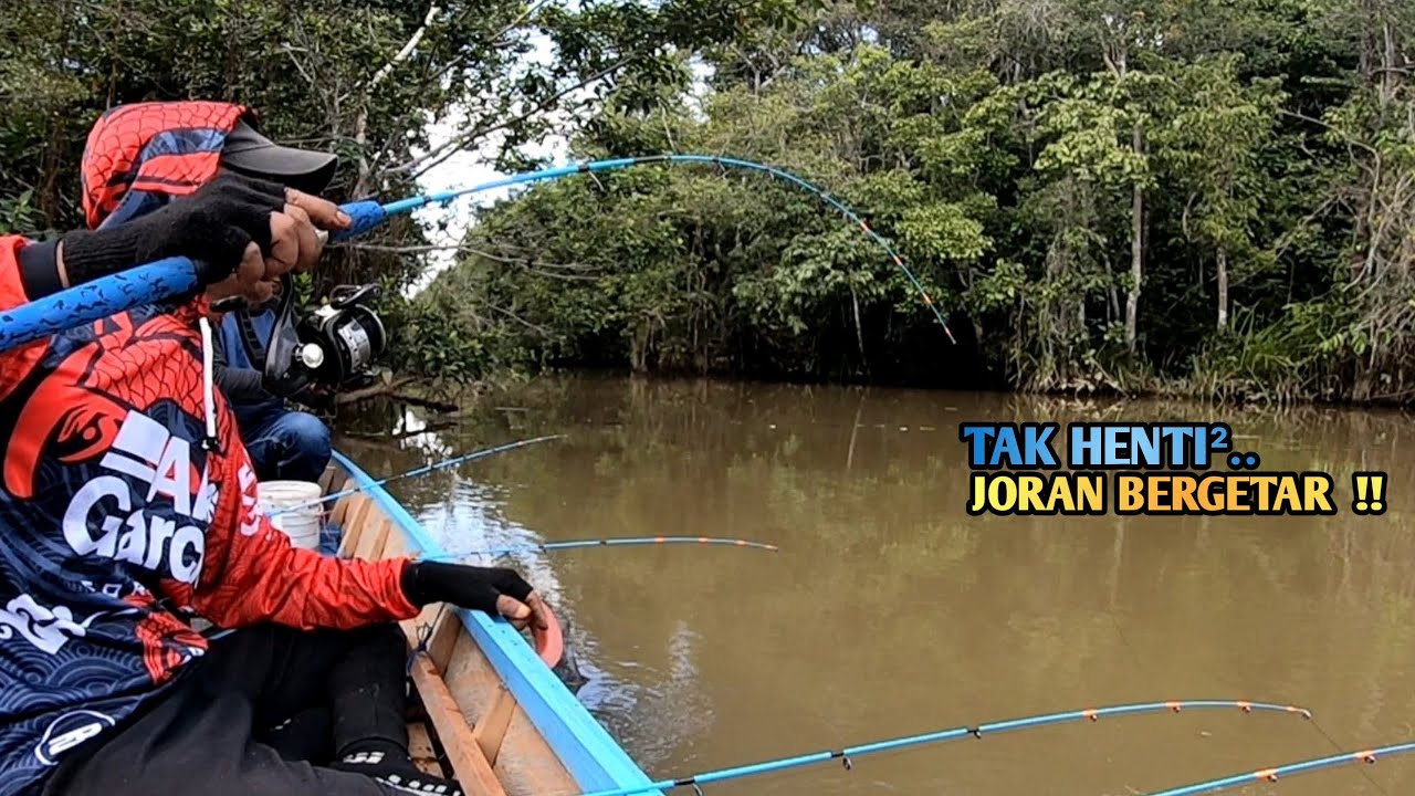 Berkali-kali Perlawanan Kuat Terjadi Di Spot Ini || Mancing Udang Galah ...