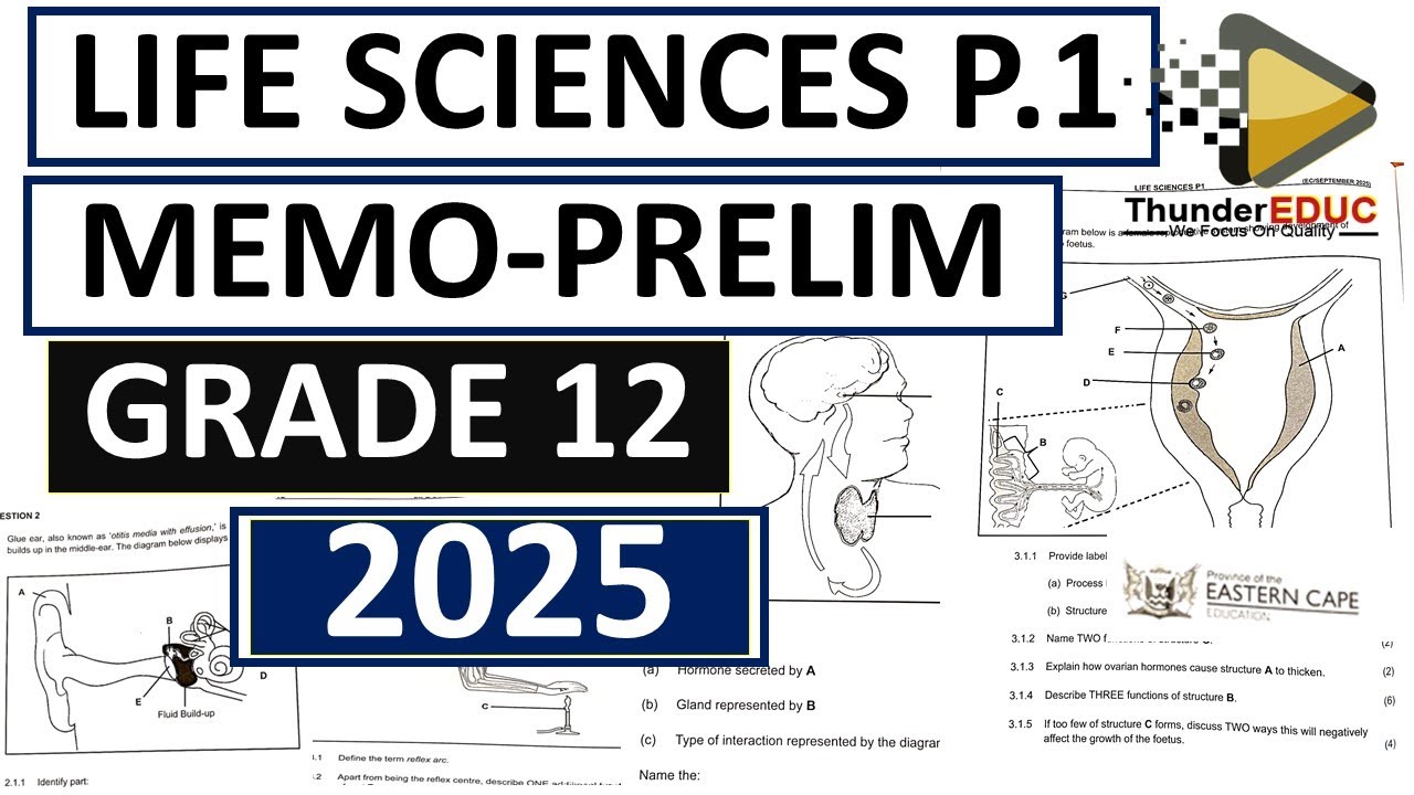 2025 MEMO GRADE 12 LIFE SCIENCES PAPER 1 PRELIM- EXAMS SEPTEMBER EXAM ...