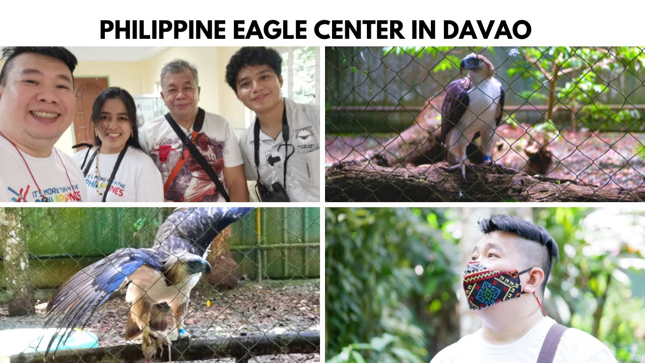 PHILIPPINE EAGLE CENTER IN DAVAO - YouTube