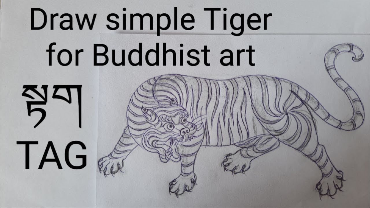 #draw a Tiger (TAG) - YouTube
