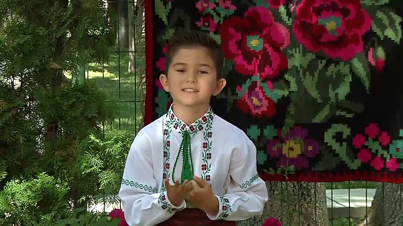 ROBERT MORARU - TEIULE, FRUNZĂ ROTUNDĂ - YouTube