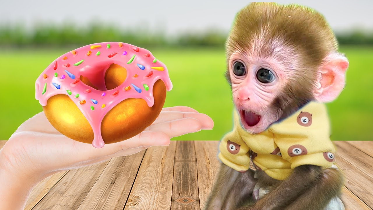 Bibo Monkey Goes Supermarket to Super Special Cake Shop - YouTube