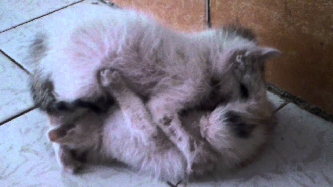 COMO HACER UN 69 - YouTube