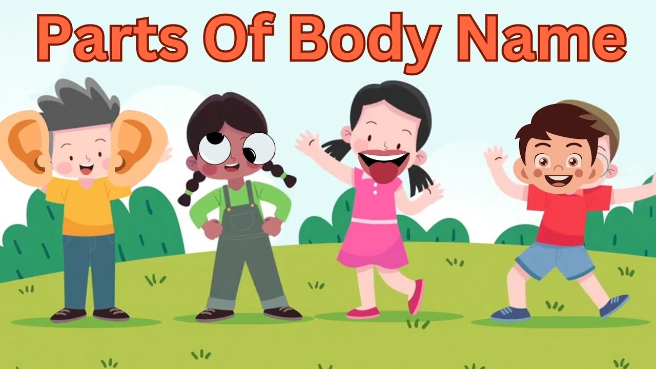 parts of body name learn for kids | body name in English for toddlers # ...