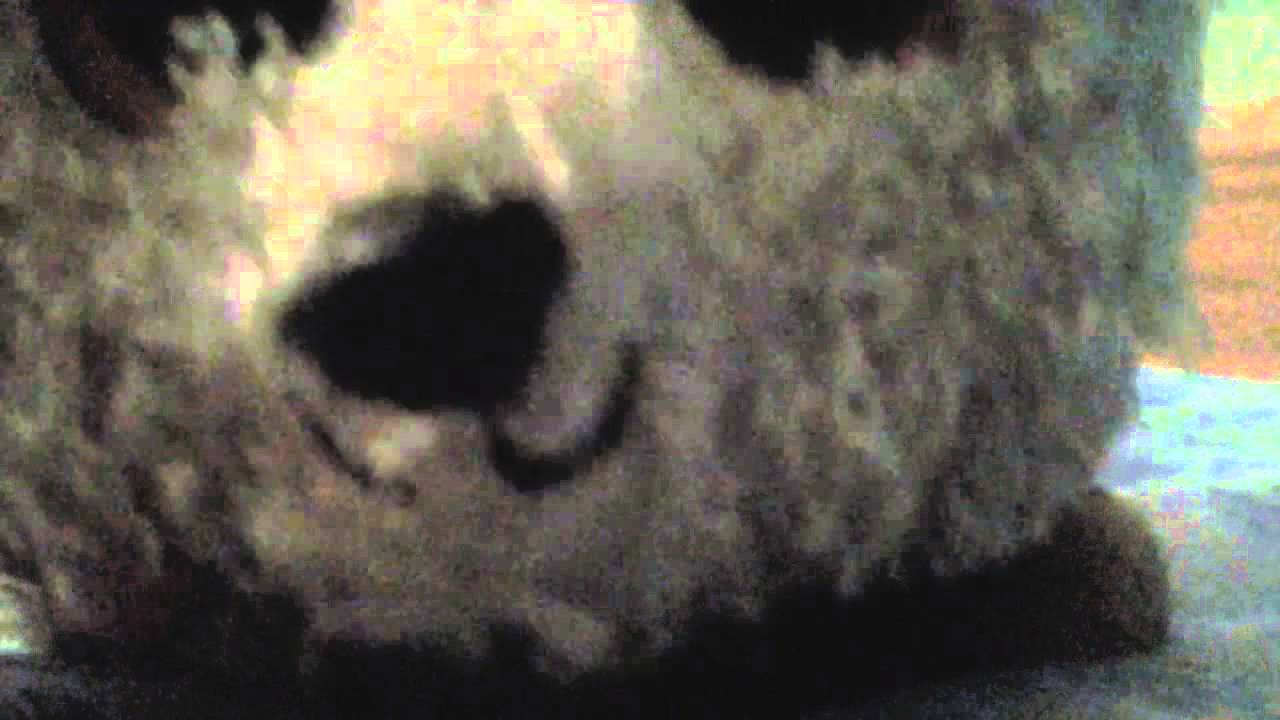 Hannah Sudduth watch this video - YouTube