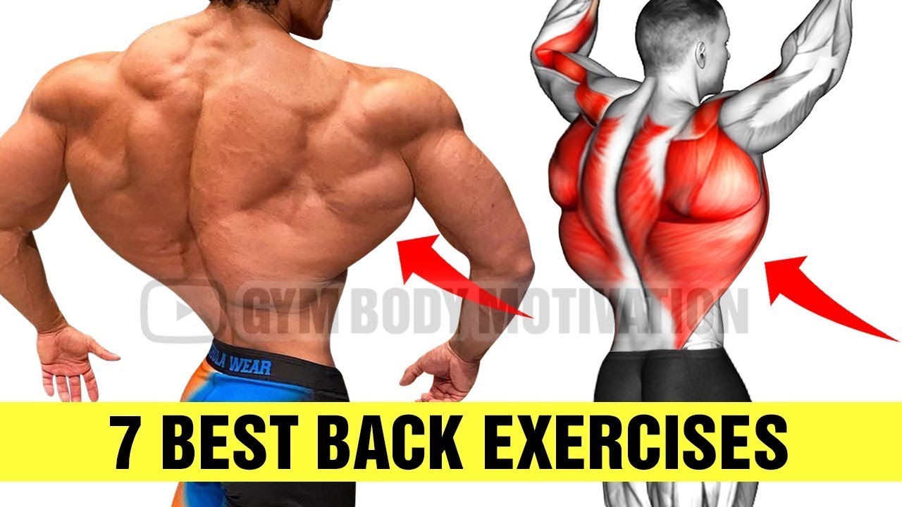 6 Exercises To Build Bigger Back | Complete Back Workout - YouTube
