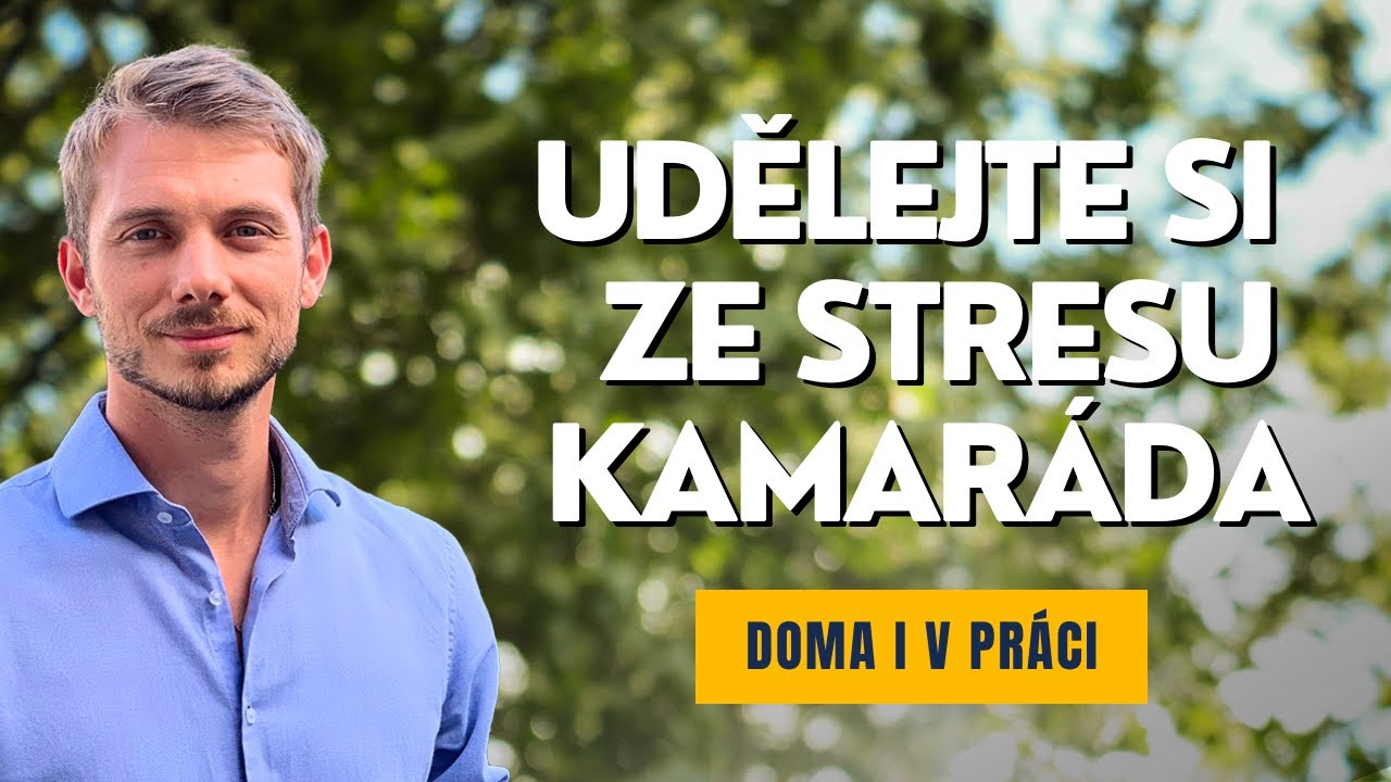 Jak se skamaradit se stresem v rodině, v práci i ve vztazích (Marek ...