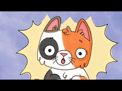 Picture Story for Kids | Catch that Cat! - YouTube