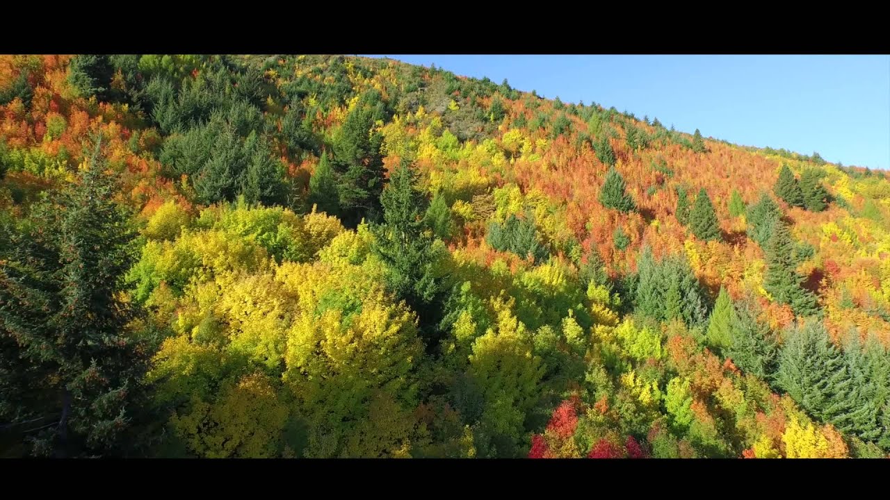 Crazy Autumn Colours - YouTube