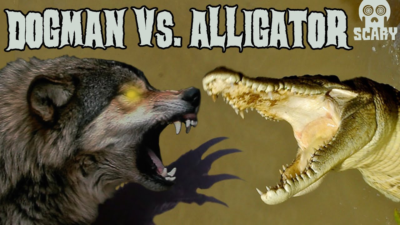 Dogman Vs. Alligator: 3 All New Dogman Stories - YouTube