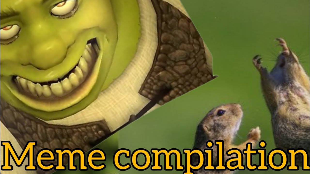 Meme compilation 🤣 - YouTube