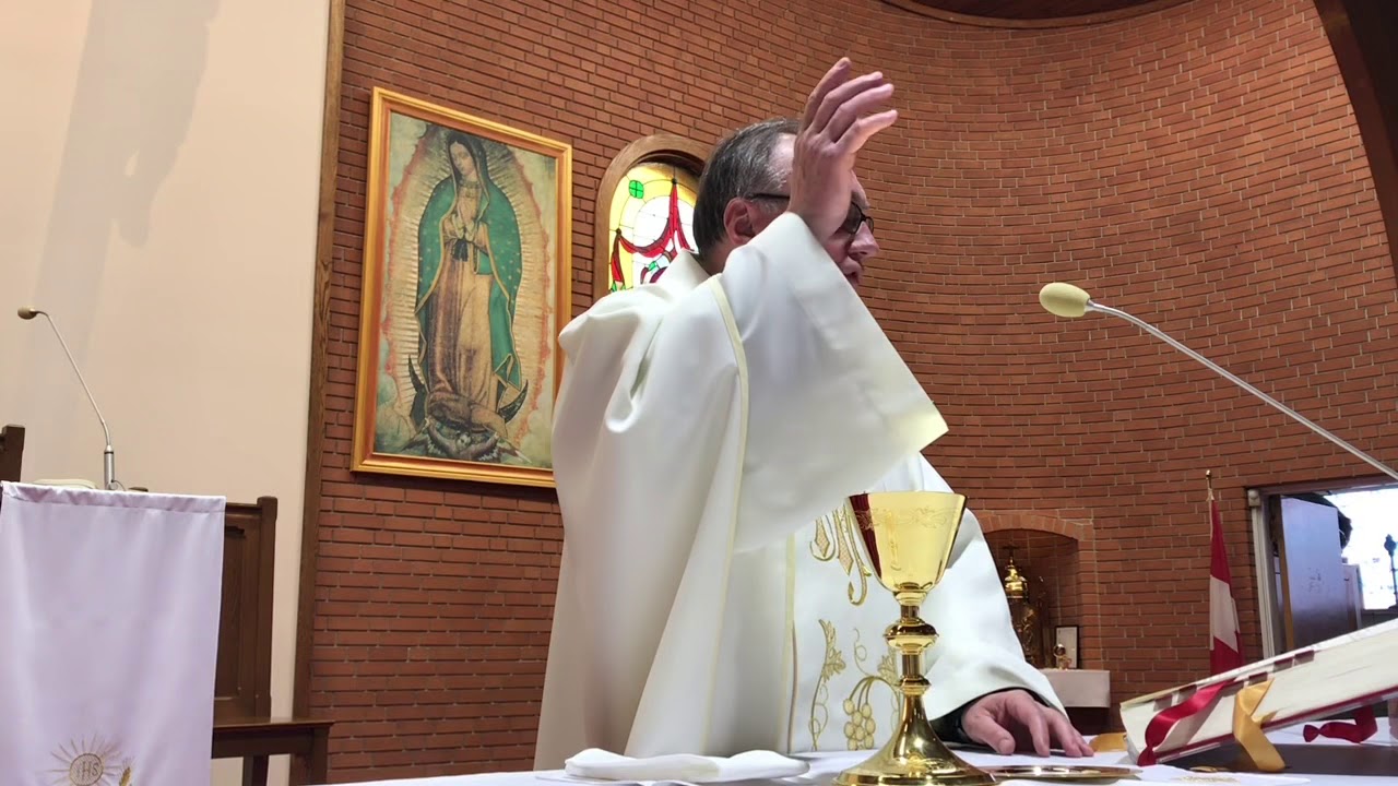 Divine Mercy Sunday - Prayers of the Faithful and Communion - YouTube