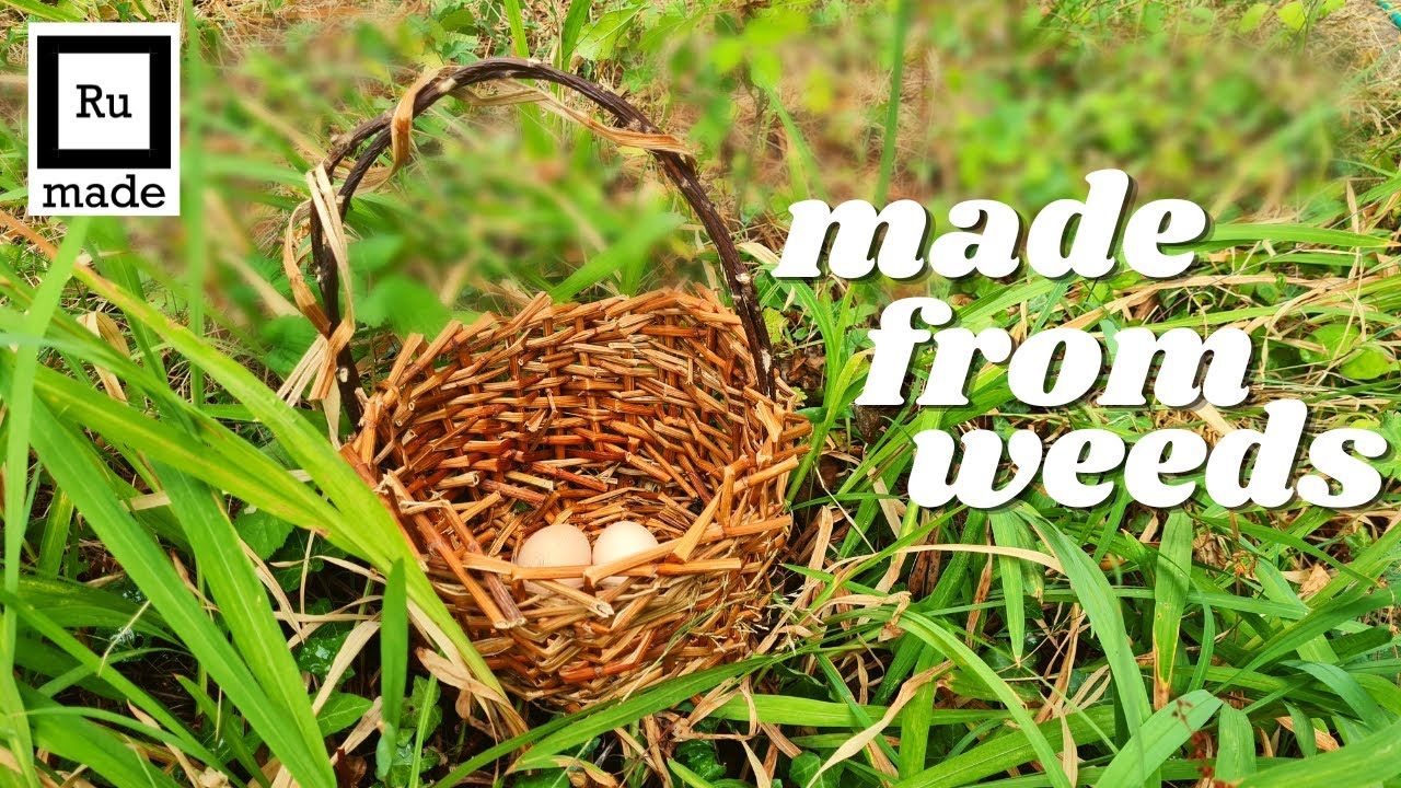Can you weave a basket from dock weed stems? - YouTube