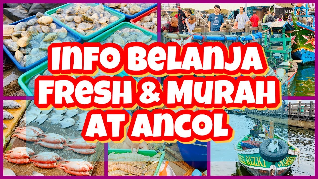 INFO BELANJA MURAH DAN FRESH DI ANCOL FISH MARKET (ANEKA IKAN DAN HASIL ...