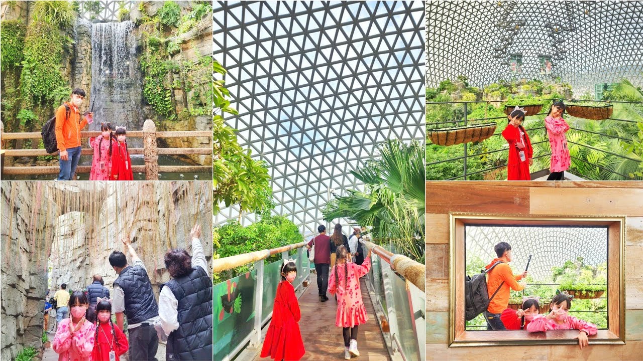 Hutan tropis di korea ll Geoje Botanical Garden Jungle Dome - YouTube