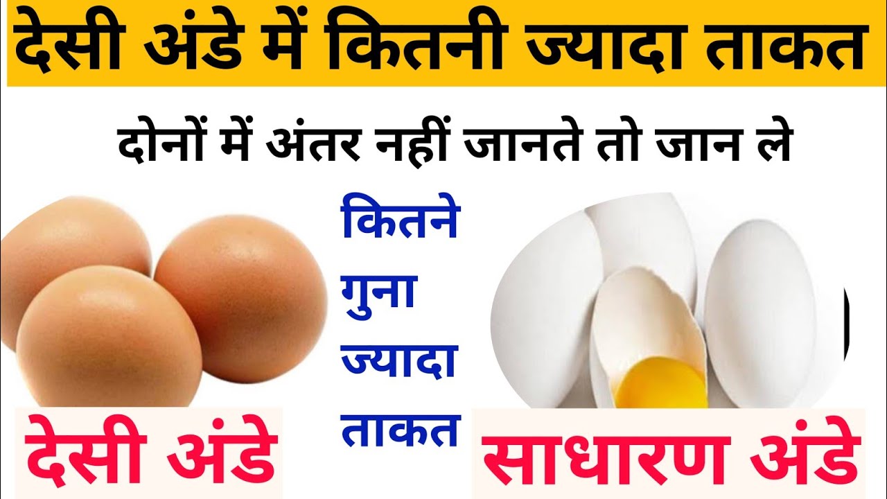 Desi Anda Khane Ke Fayde ।। Desi Anda vs Normal Anda ।। Desi Anda ...