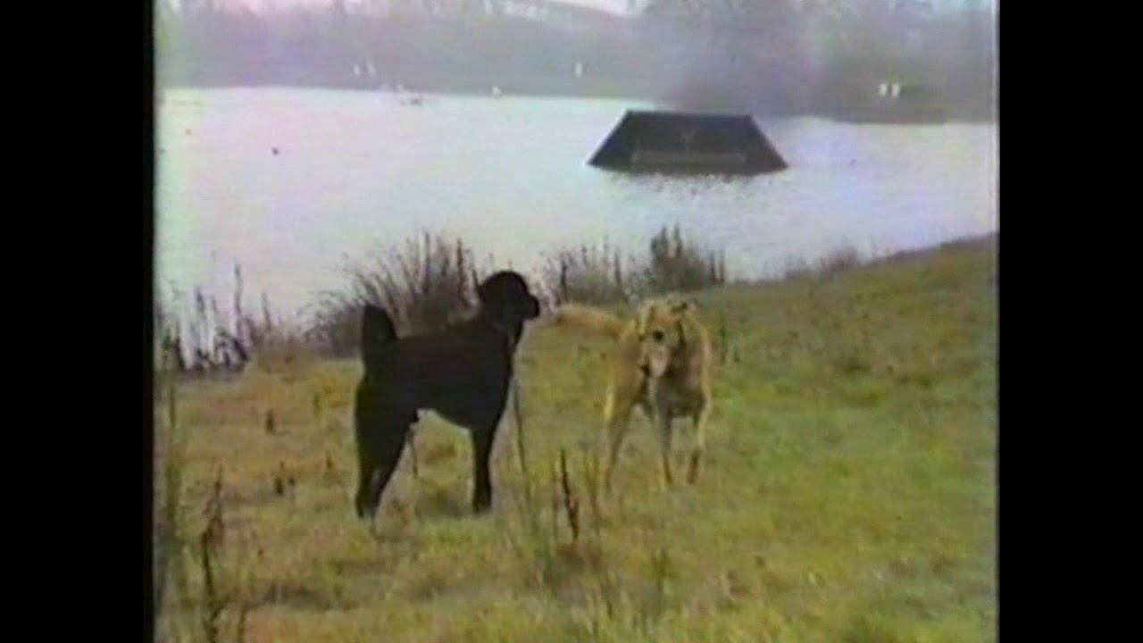UL rowing 1980's Rusty's assistant coaches - YouTube