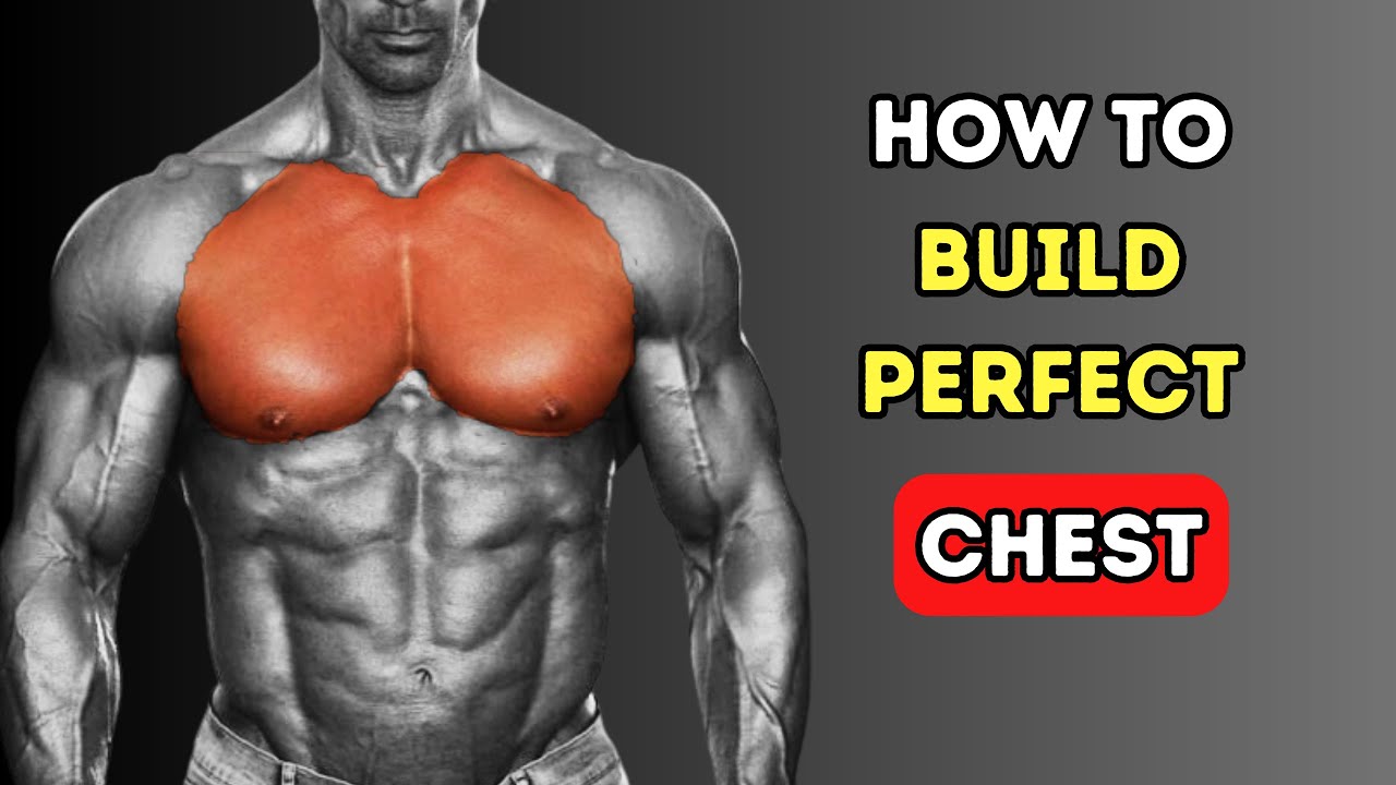 Best Workout To Build Perfect Chest - YouTube