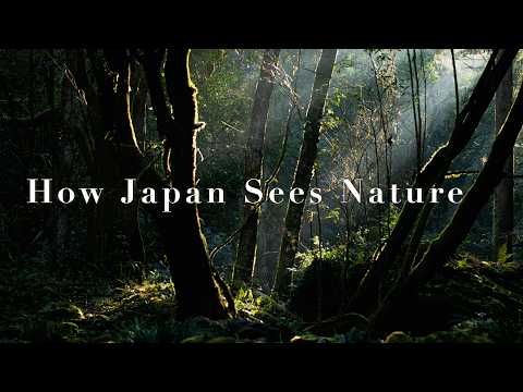 6 Japanese Words That Will Change How You See Nature