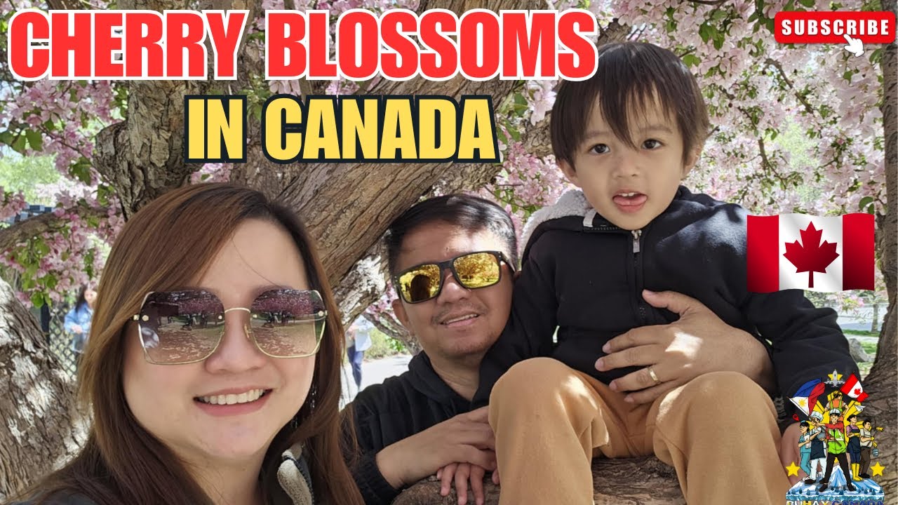 SPRING BLOOMS IN CALGARY | DI NA LALAYO PA | BUHAY CANADA - YouTube