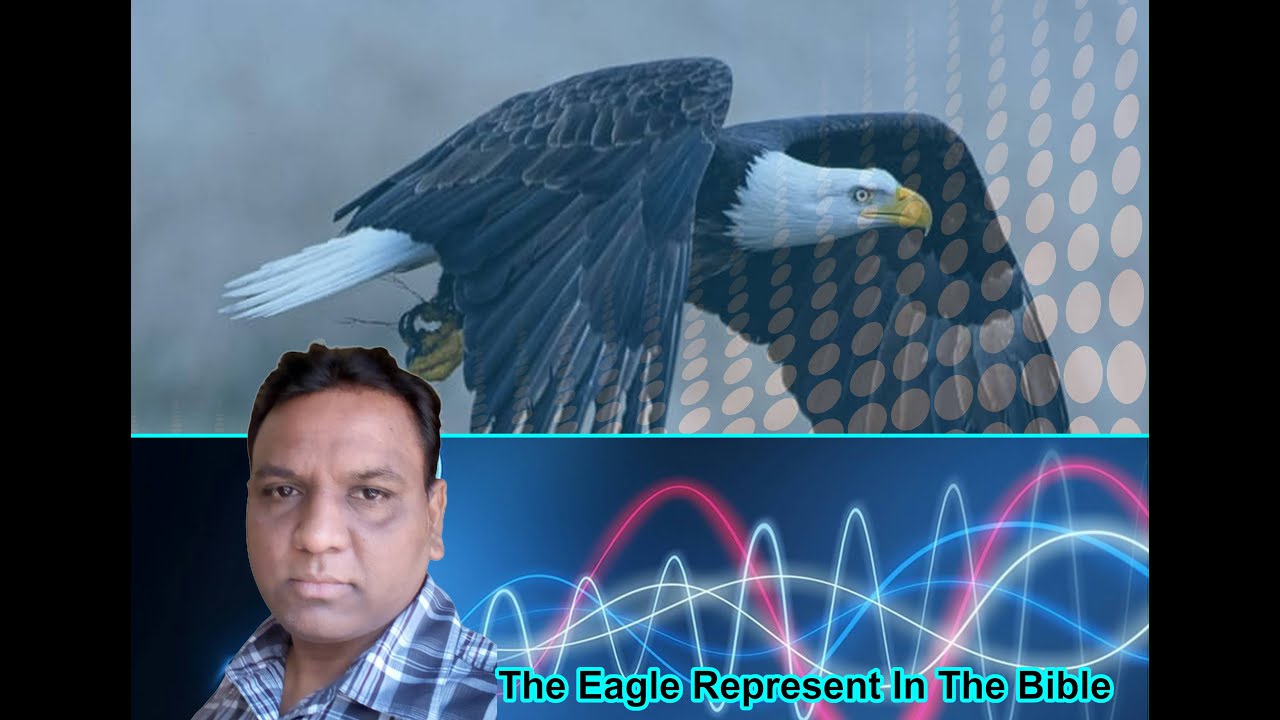 The Eagle Represent In The Bible - YouTube