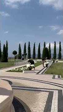 Шато де талю #геленджик #виноделие #amazing #виноград 23 ноября 2022 г ...